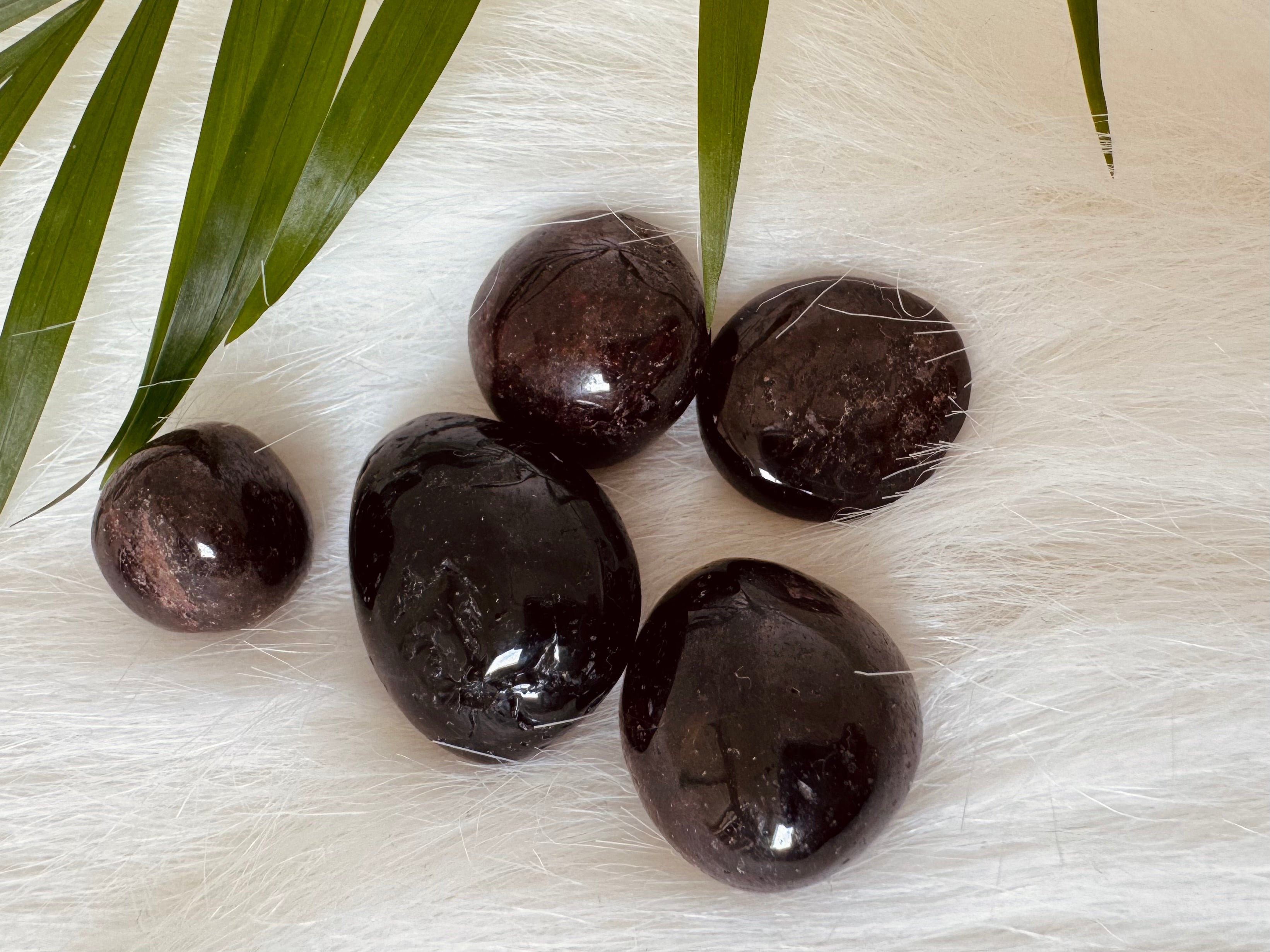 Garnet with Astrophyllite Tumbled