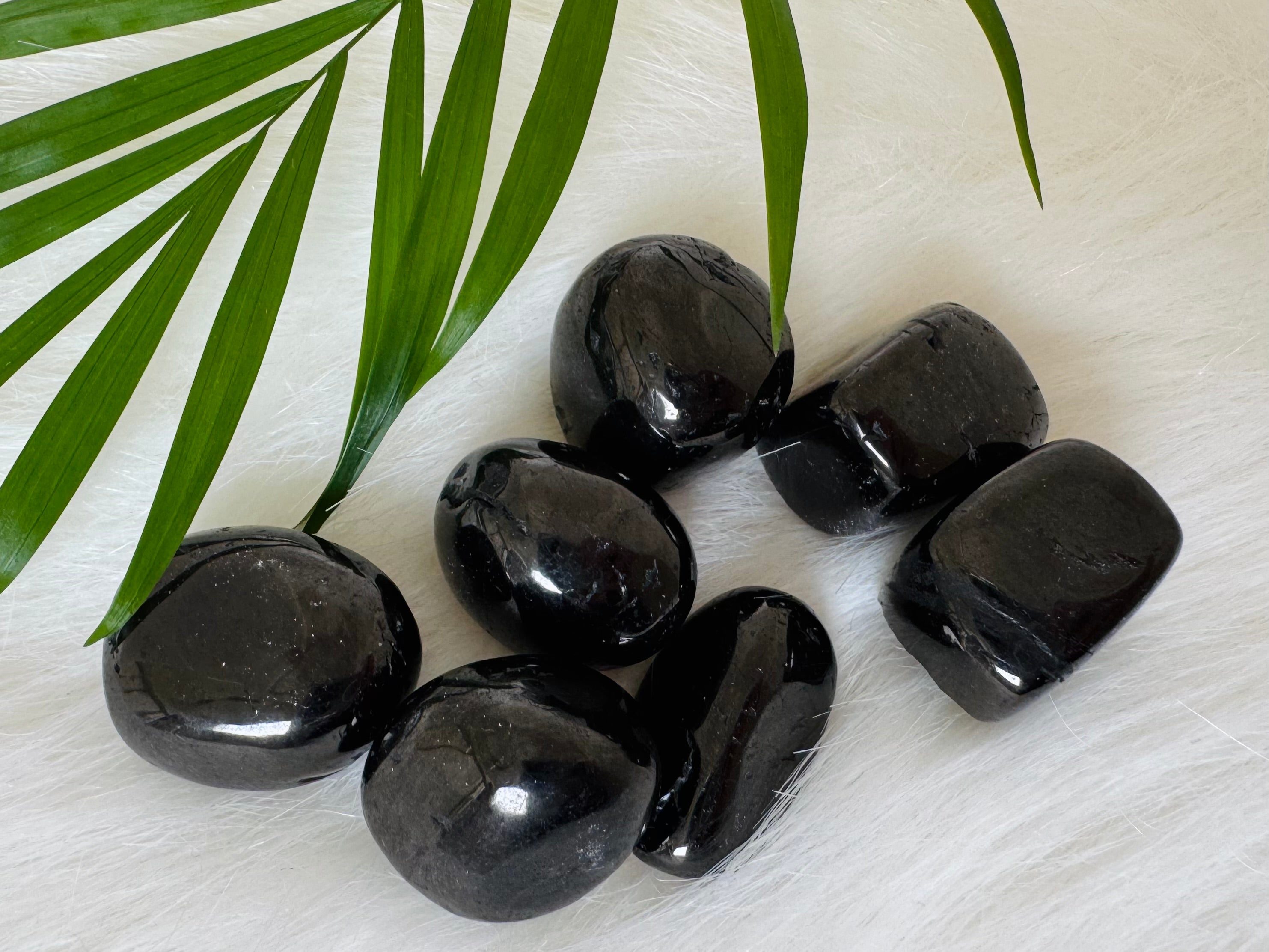 Jet Rock Tumbled | Moon Room Shop and Wellness