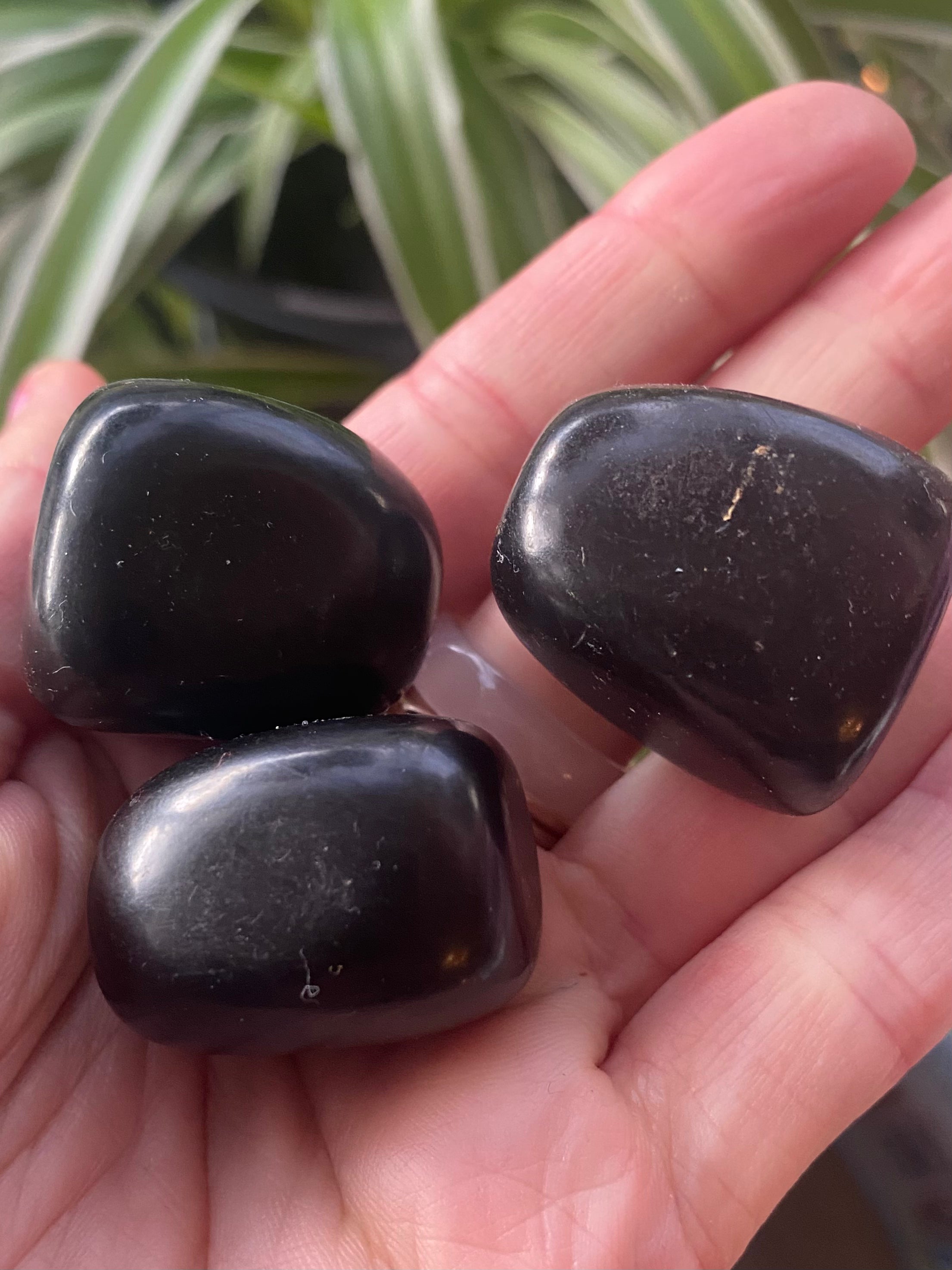 Jet Rock Tumbled | Moon Room Shop and Wellness